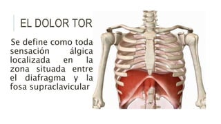 Dolor Toracico. Se encuentra su definición, sus causas, manifestaciones ...