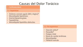 Dolor Toracico. Se encuentra su definición, sus causas, manifestaciones ...