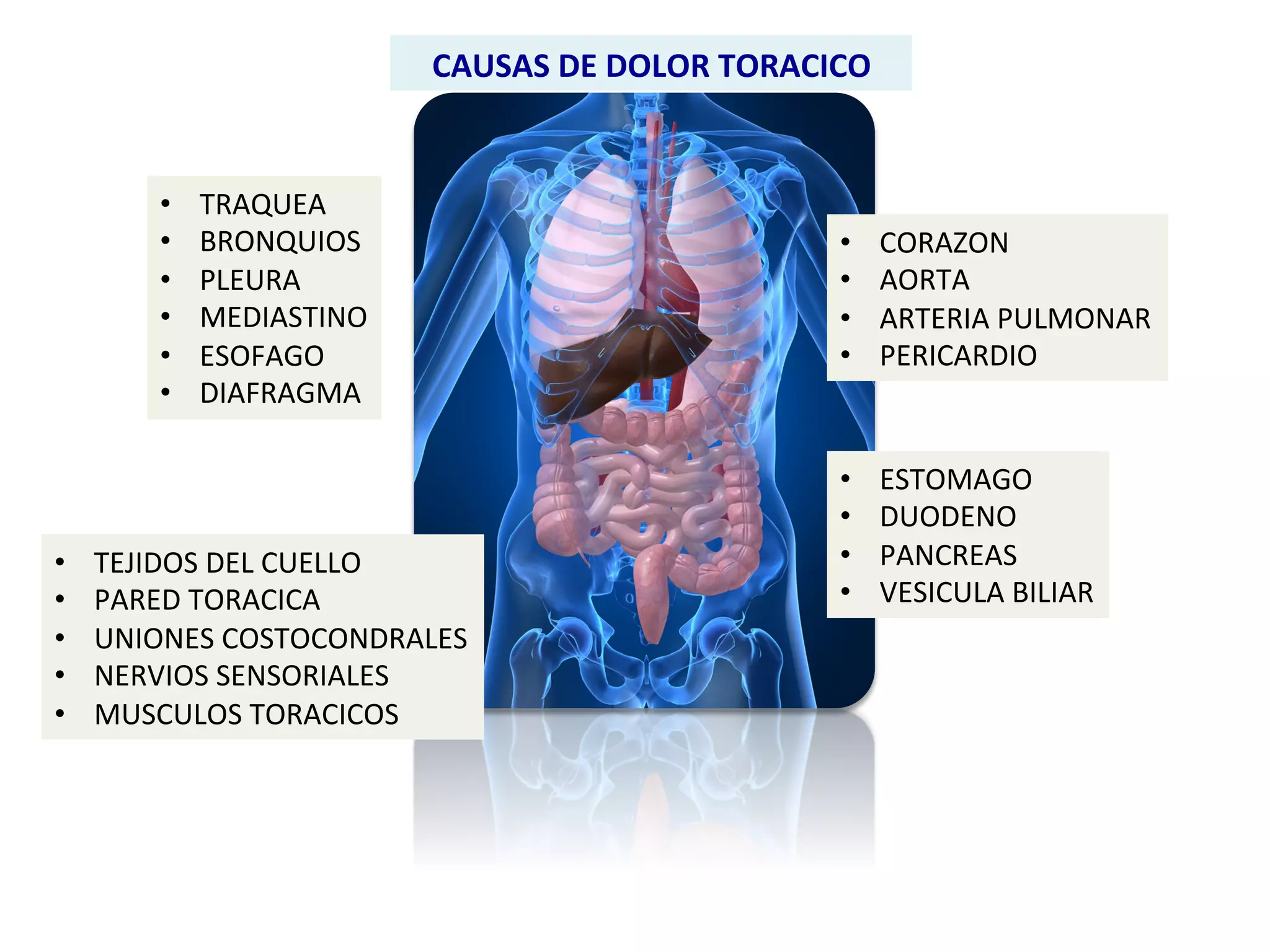 Dolor torácico en sala de urgencias | PDF