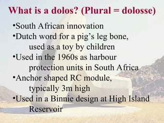 Dolosse-A Potential New Debris Flow Mitigation Measure | PPT
