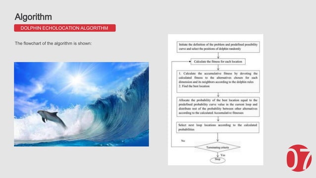 Dolphin Echolocation Optimization Algorithm | PPTX