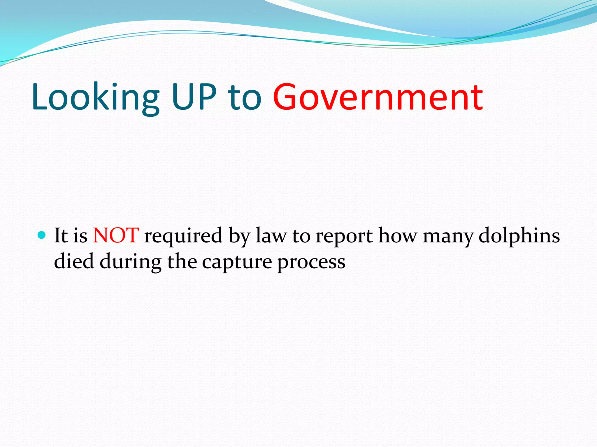 Dolphin captivity | PPT