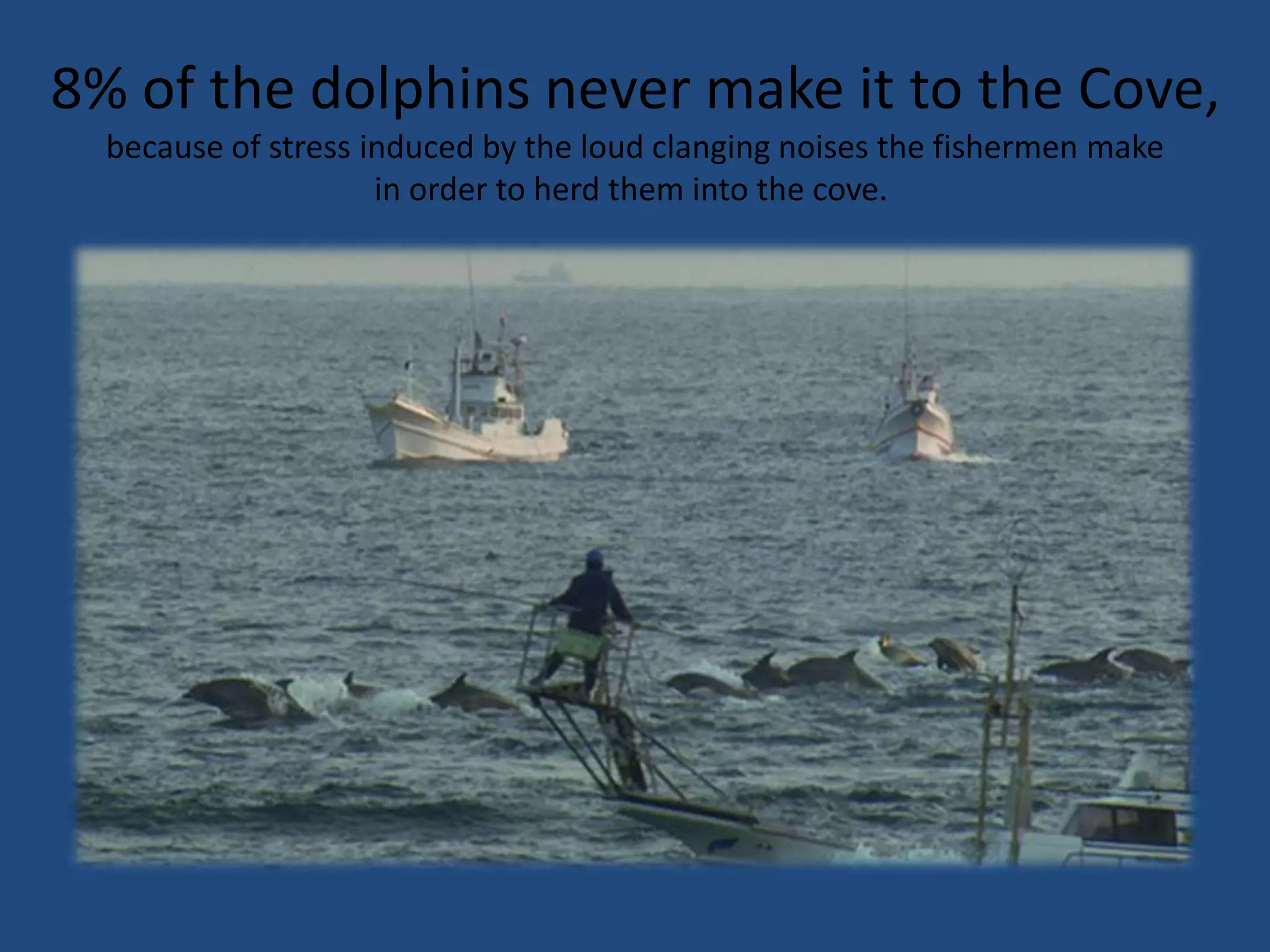 Taiji Dolphin Drives | PPT