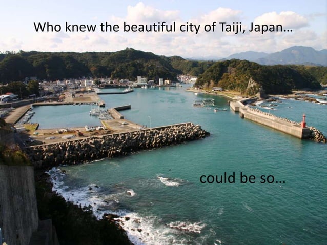 Taiji Dolphin Drives | PPT