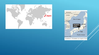 Dolphin Drive hunting method and spec in japan | PPTX
