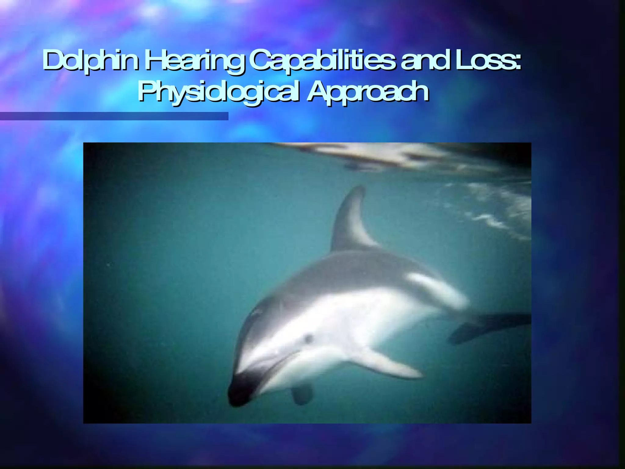 Dolphin Hearing Capabilities And Loss | PPT