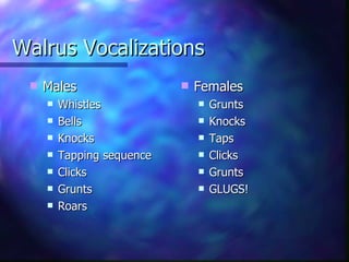Dolphin Hearing Capabilities And Loss | PPT