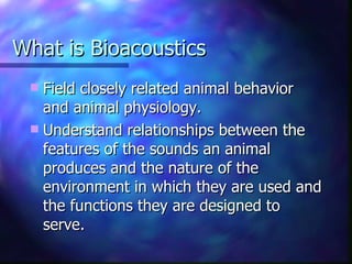 Dolphin Hearing Capabilities And Loss | PPT