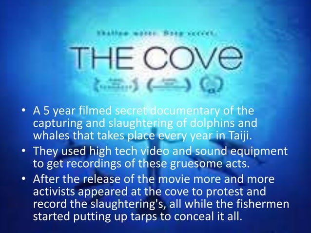 Dolphin hunting operations in taiji, wakayama, | PPTX | Hunting and ...