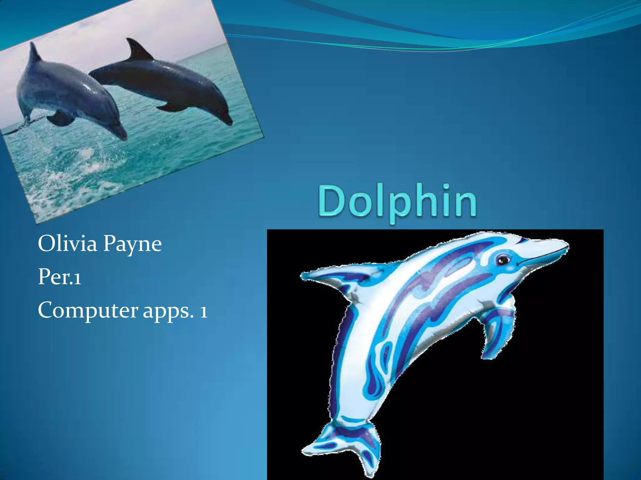 Dolphin olivia | PPTX