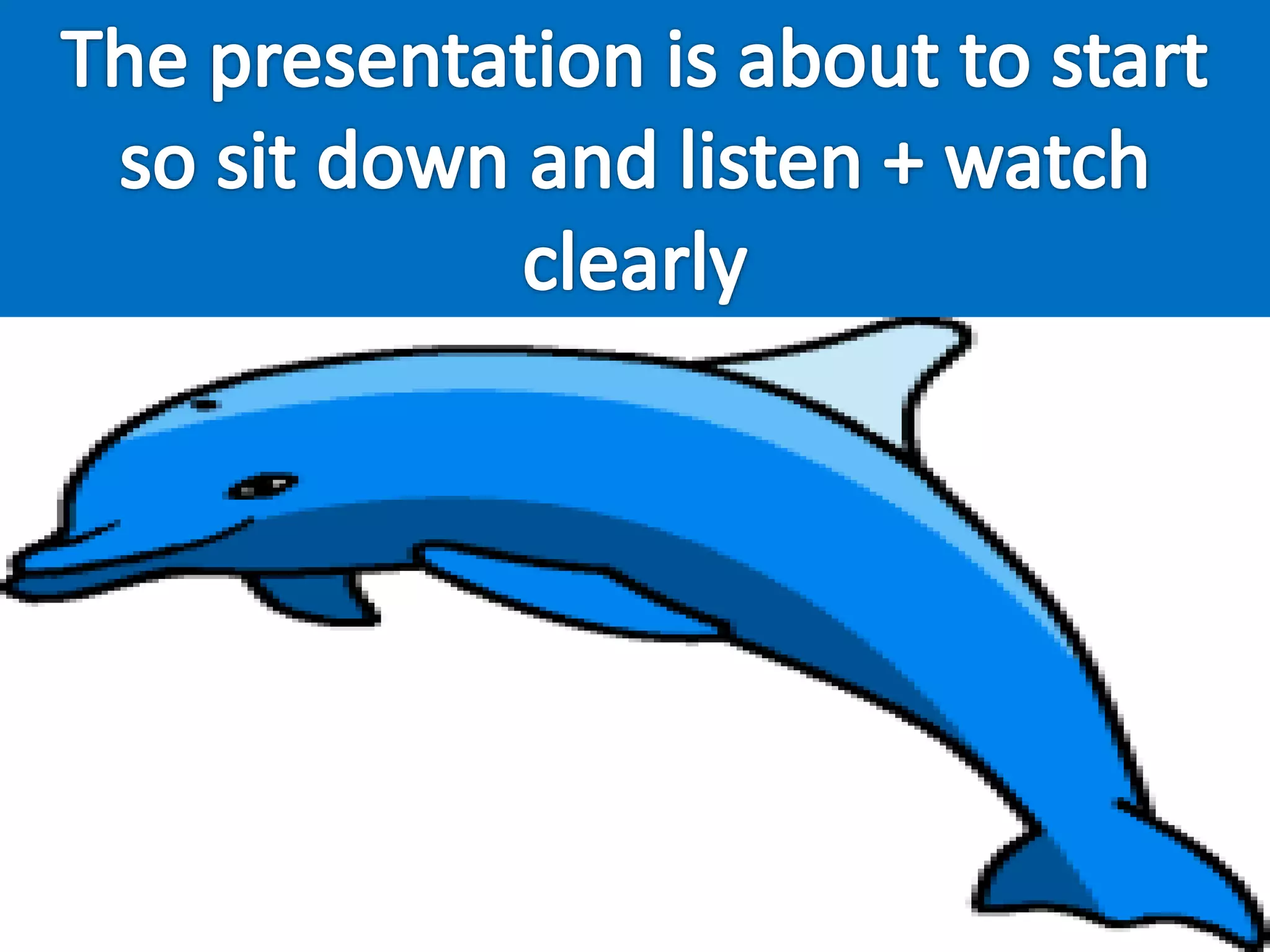 Dolphin presentation | PPTX