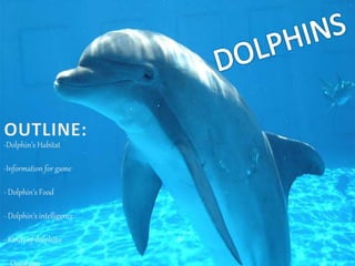 Dolphin presentation | PPTX