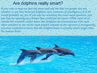 Dolphin presentation | PPTX