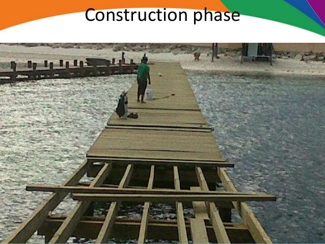 Presentation of Proposed Dolphin Project | PPT