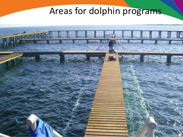Presentation of Proposed Dolphin Project | PPT