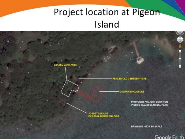 Presentation of Proposed Dolphin Project | PPT