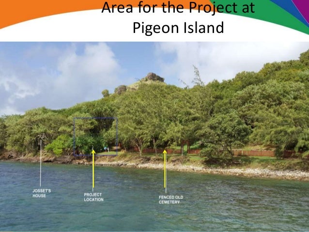 Presentation of Proposed Dolphin Project | PPT