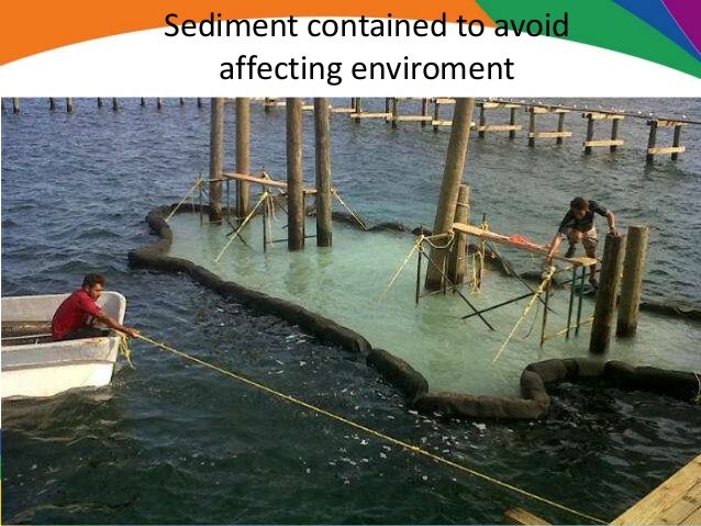 Presentation of Proposed Dolphin Project | PPT