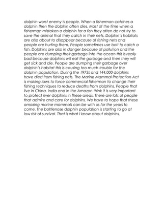 Dolphin report for ariel hyers | DOC