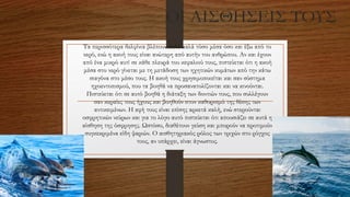 Δελφίνια | PPTX