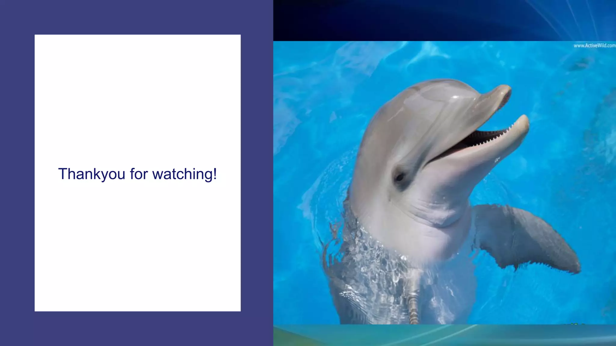 Facts about Dolphins-For Children | PPTX