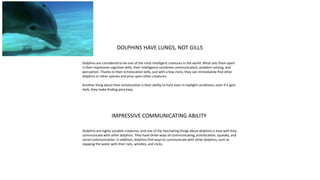 DOLPHINS.pptx