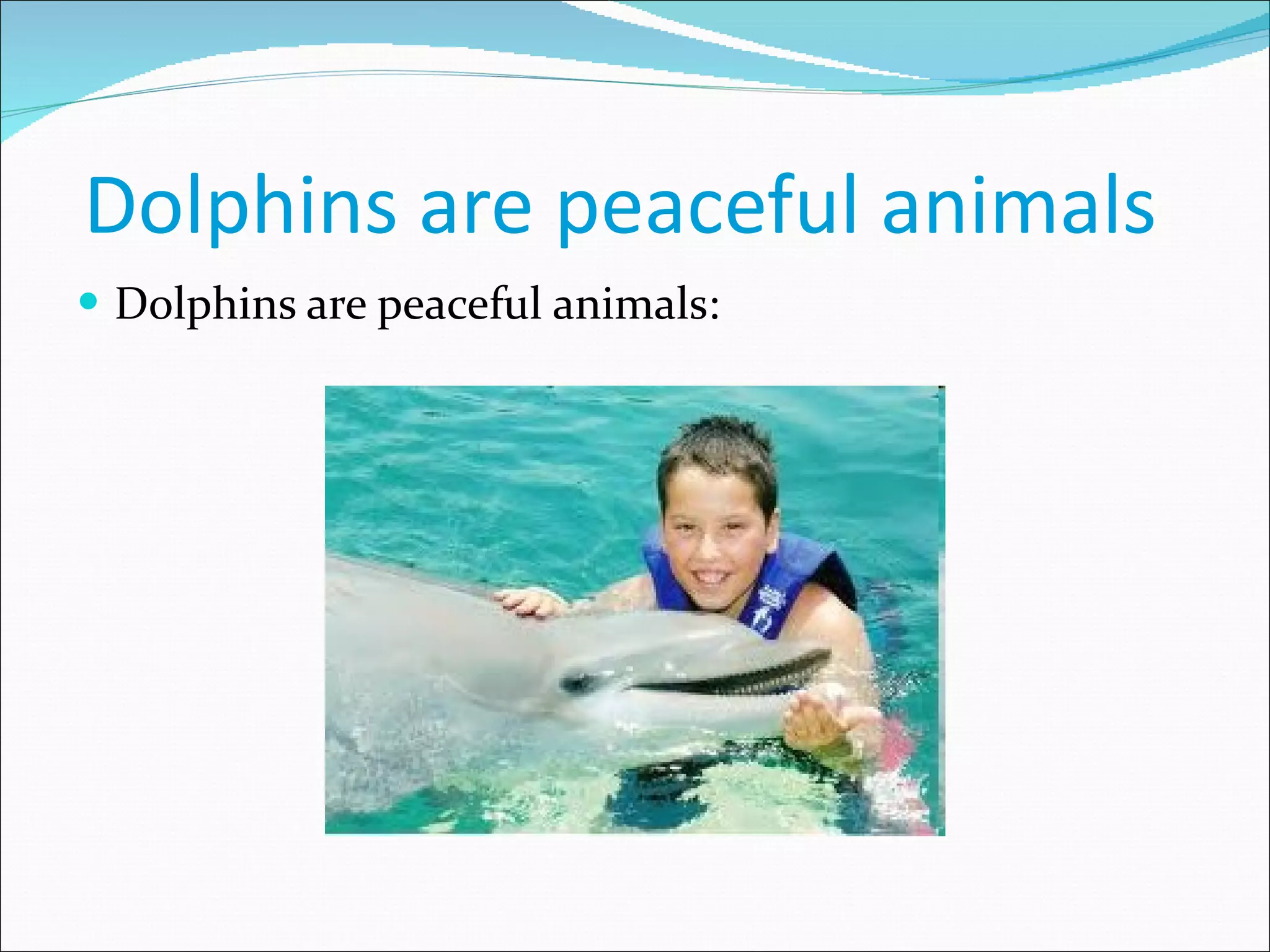 Dolphins.ppt ariadna ,cristina i alex | PPT | Zoos & Aquariums ...