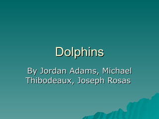 Dolphins Research | PPT