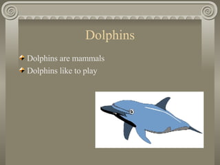 Dolphins | PPT