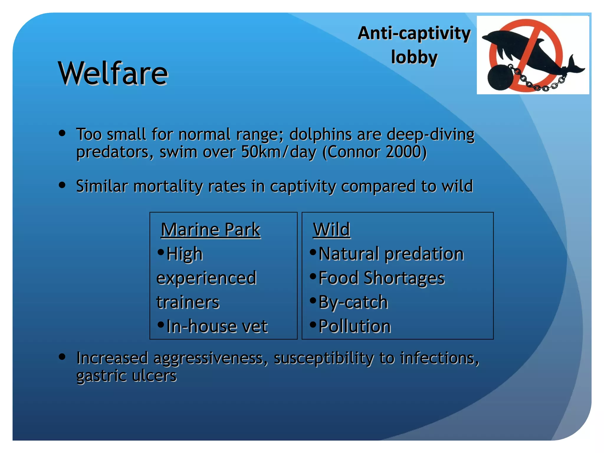 Dolphins in Captivity | PPT