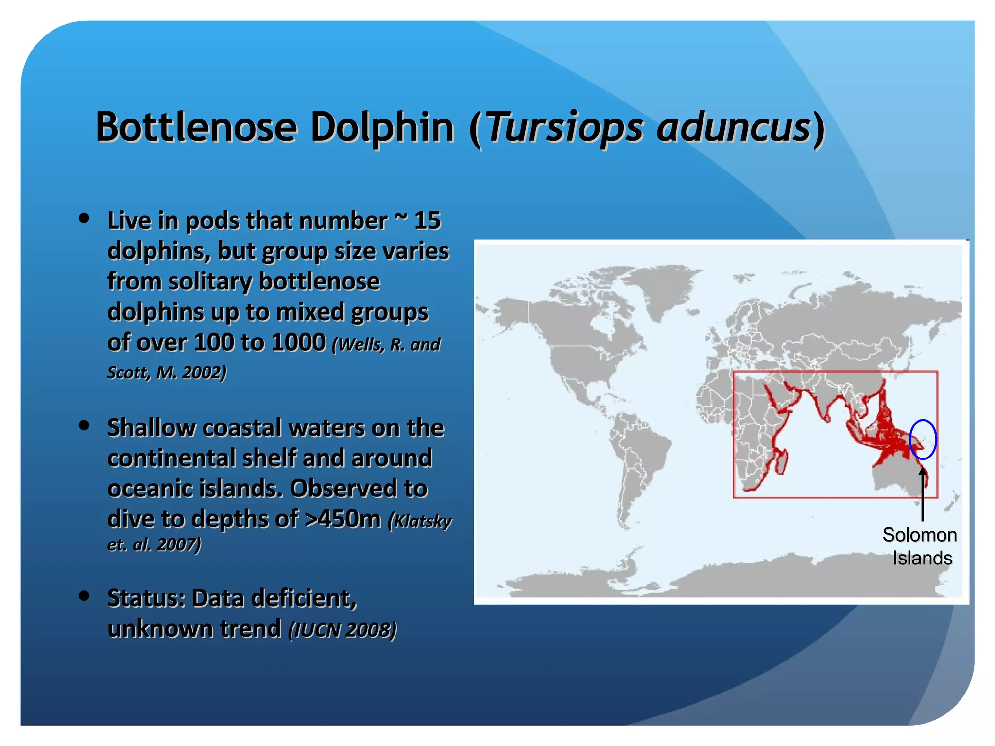Dolphins in Captivity | PPT
