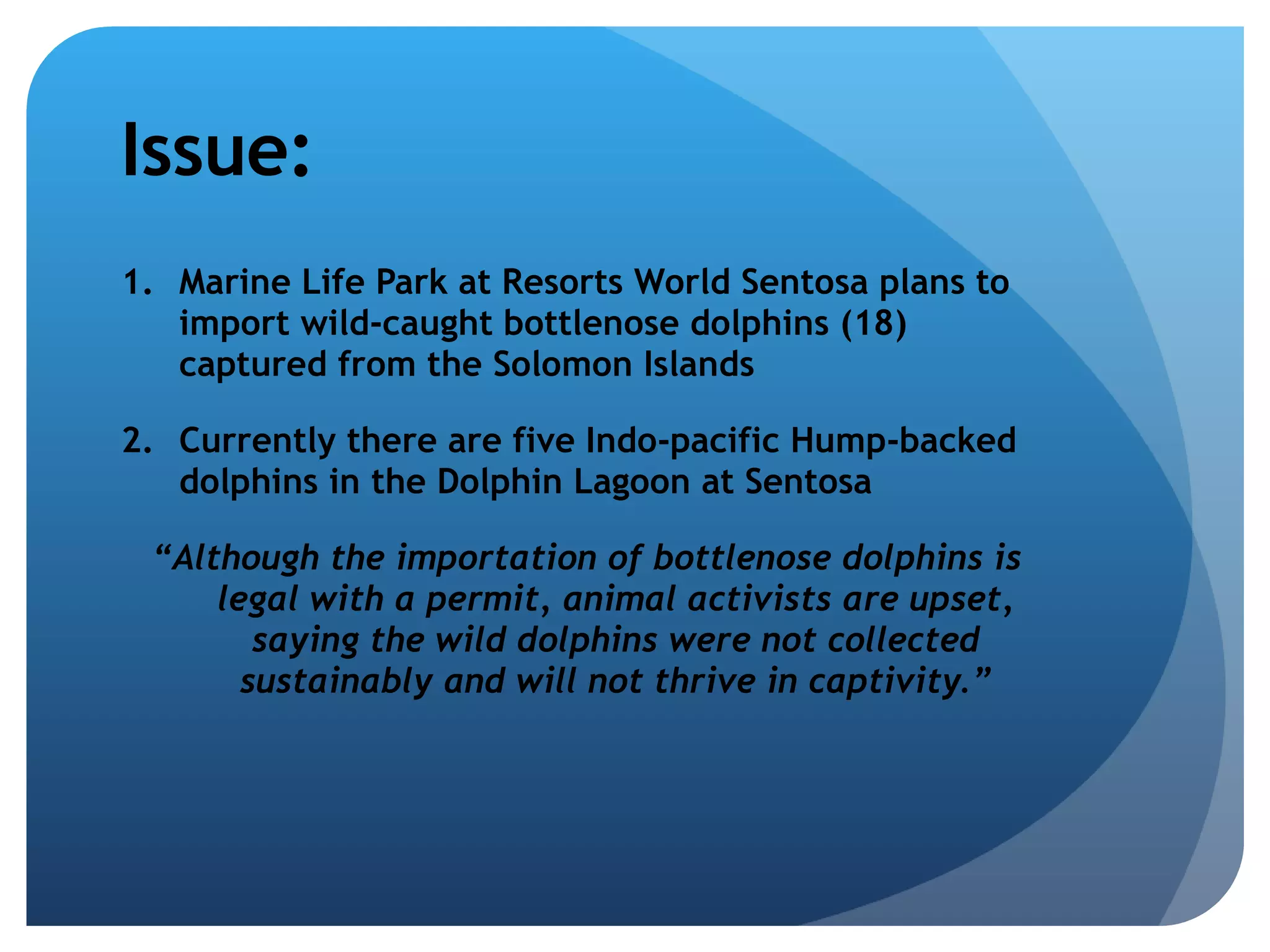 Dolphins in Captivity | PPT