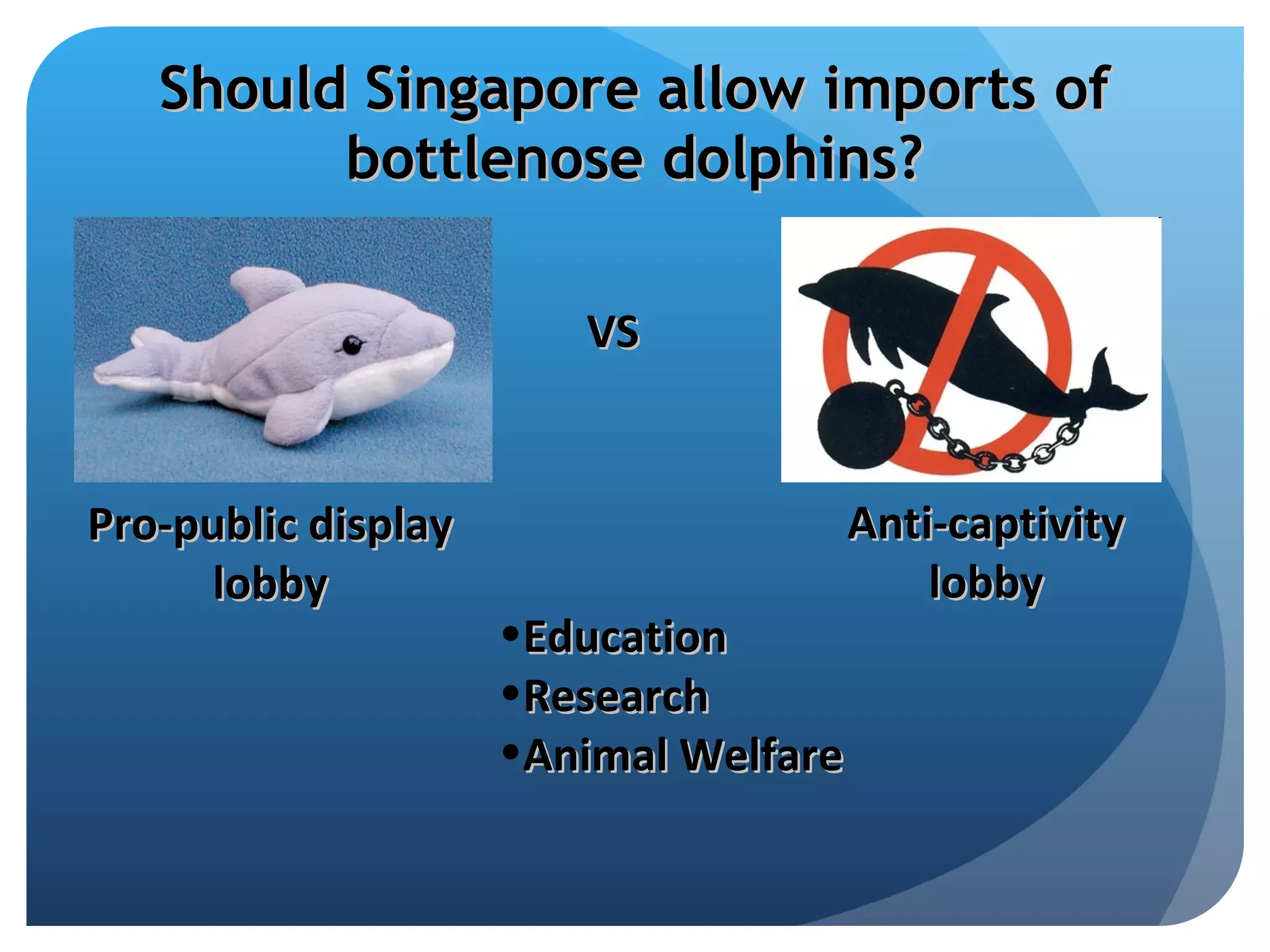 Dolphins in Captivity | PPT