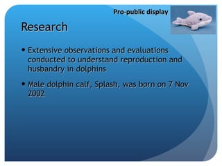 Dolphins in Captivity | PPT