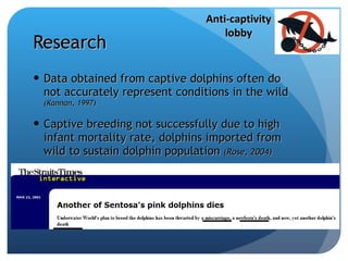 Dolphins in Captivity | PPT