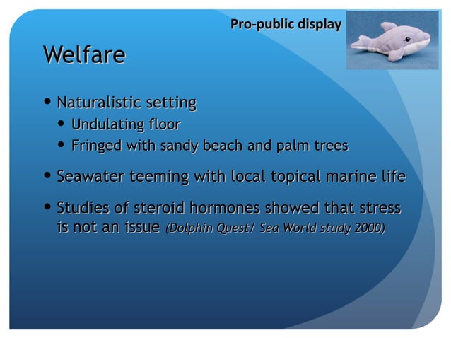 Dolphins in Captivity | PPT | Zoos & Aquariums | Attractions