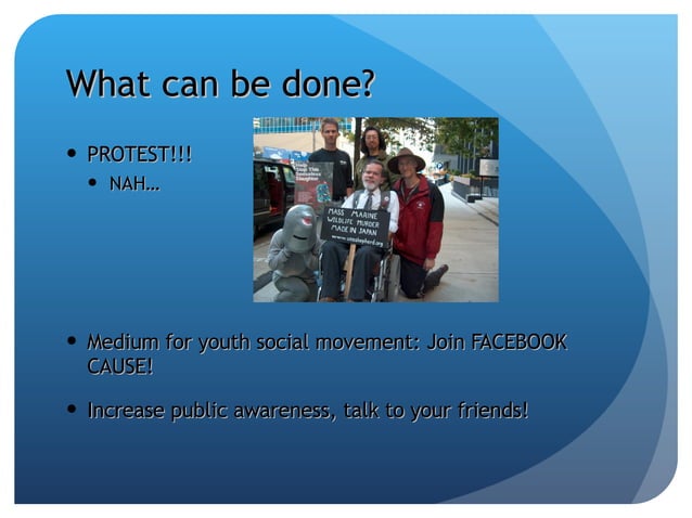 Dolphins in Captivity | PPT | Zoos & Aquariums | Attractions