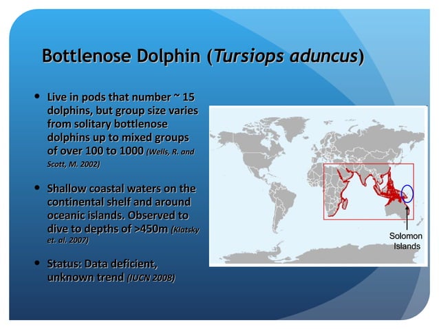 Dolphins in Captivity | PPT | Zoos & Aquariums | Attractions