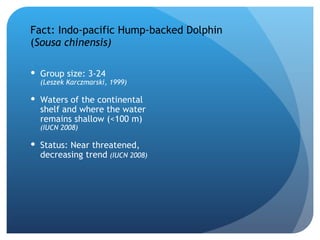Dolphins in Captivity | PPT