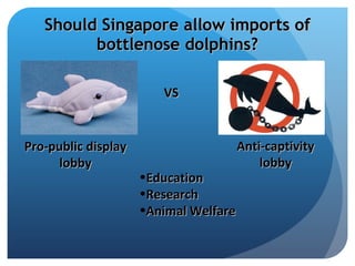 Dolphins in Captivity | PPT