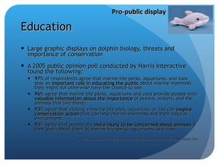Dolphins in Captivity | PPT