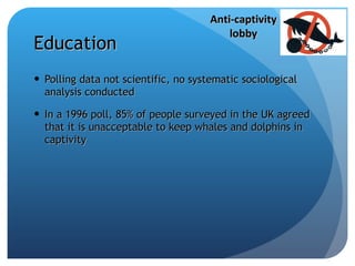 Dolphins in Captivity | PPT