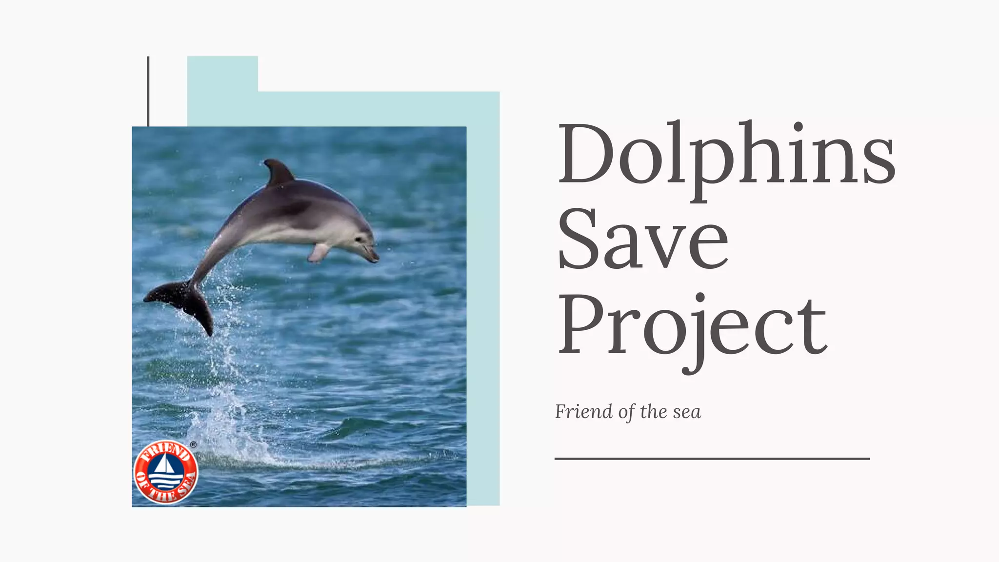 Dolphins save project | PDF