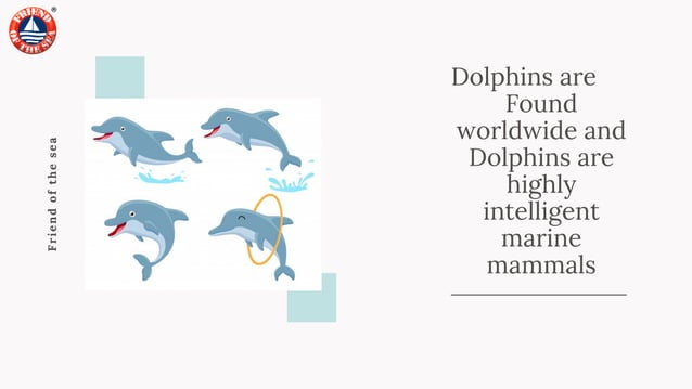 Dolphins save project | PDF | Fish and Aquariums | Pets
