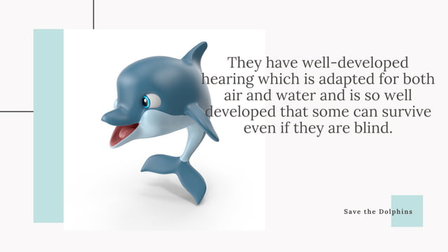 Dolphins save project | PDF | Fish and Aquariums | Pets