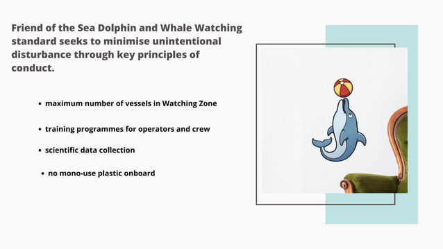 Dolphins save project | PDF | Fish and Aquariums | Pets