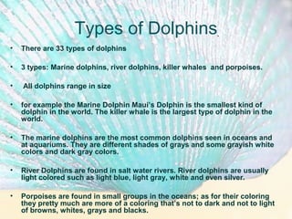 Dolphin story | PPT