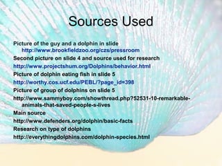 Dolphin story | PPT