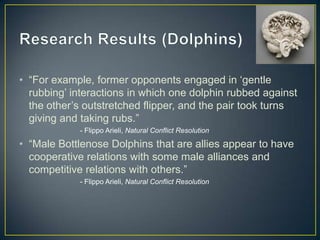 Dolphins, wolves, humans, and how | PPT