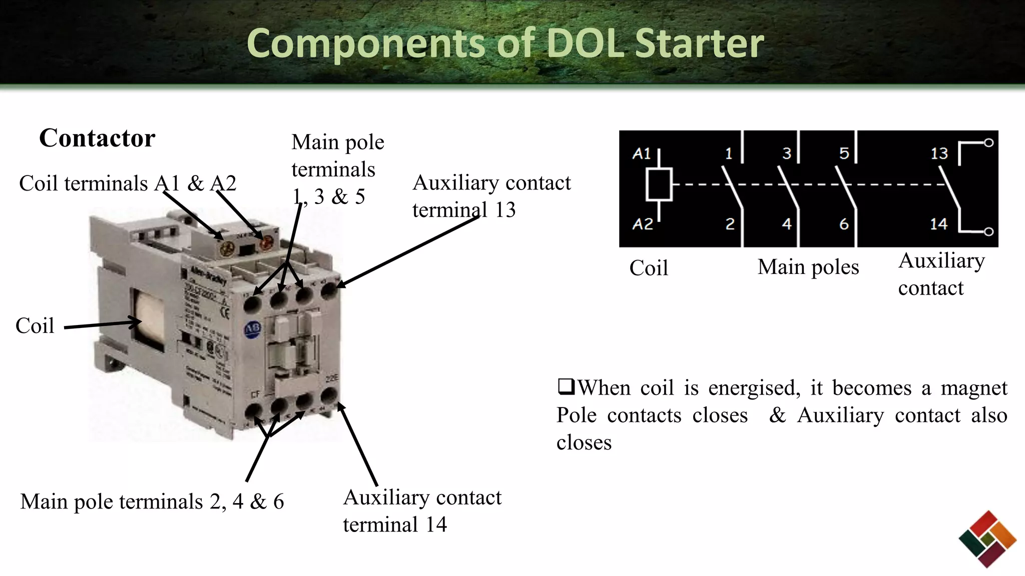 Dol starter by kantiakapil | PDF